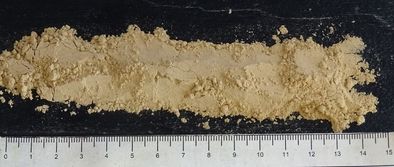 Livèche racine poudre BIO